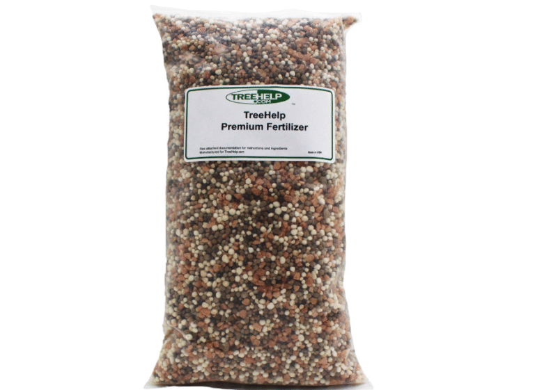 Best Fertilizer for Blue Spruce Trees 2025: Top 10 Picks