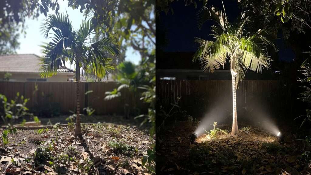 Best Lights for Palm Trees 2025: Pro Guide & Ideas