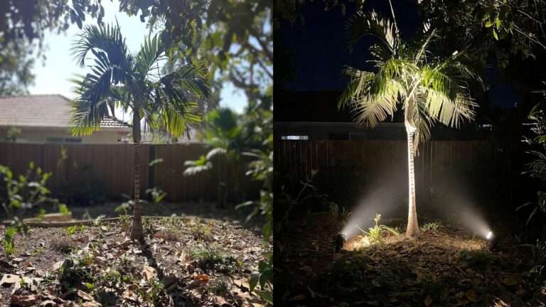 Best Lights for Palm Trees 2025: Pro Guide & Ideas