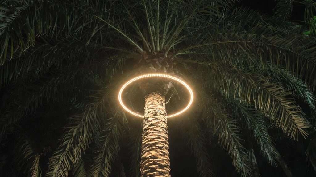 Best Lights for Palm Trees 2025: Pro Guide & Ideas