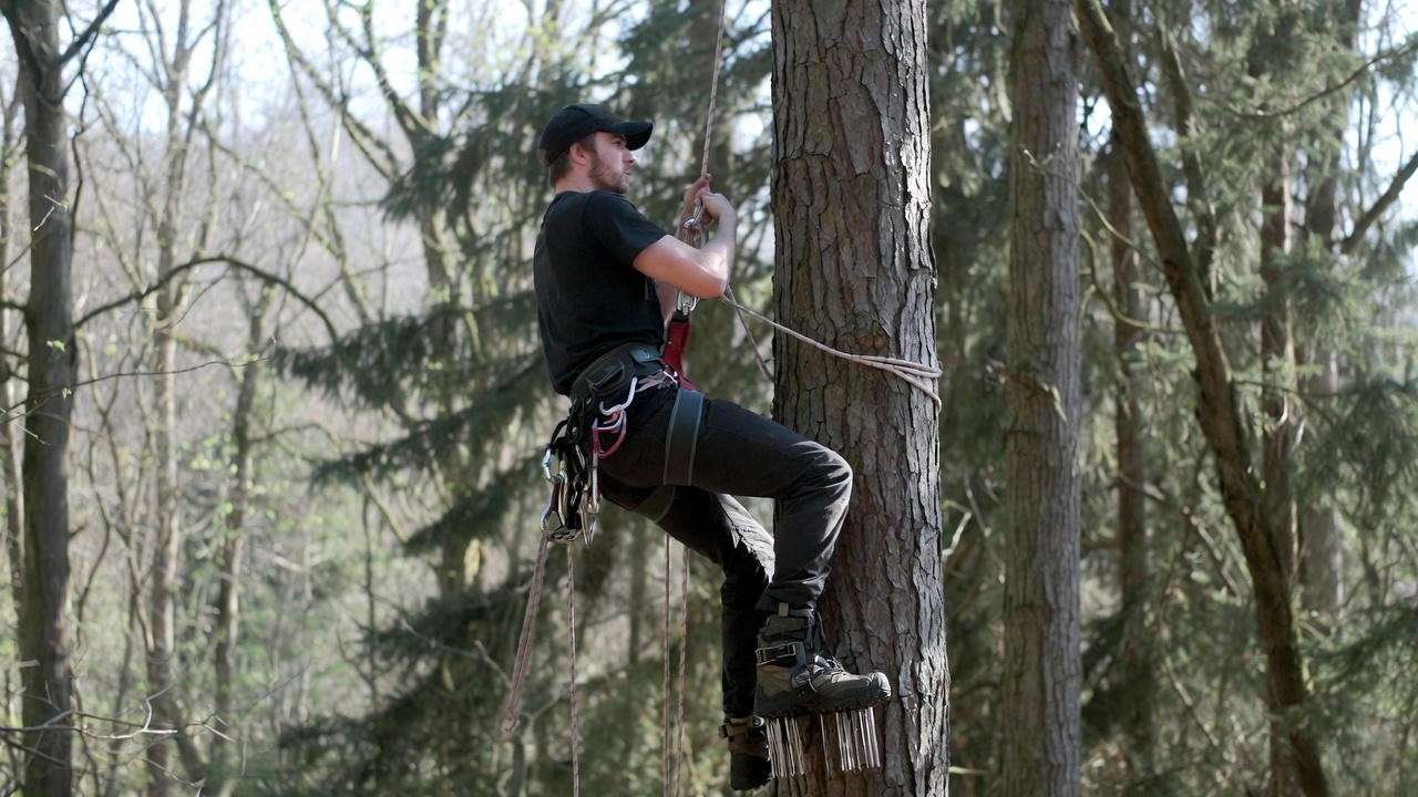 Top 10 Best Tree Climbing Gear for Safe Ascents in 2025