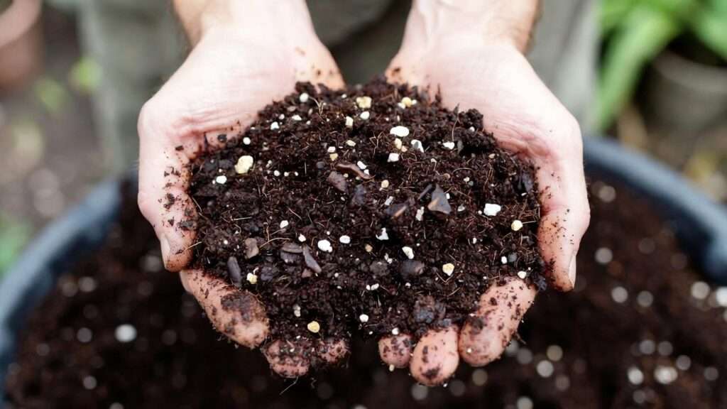 Water Retention Techniques in Soil Blends for Plants