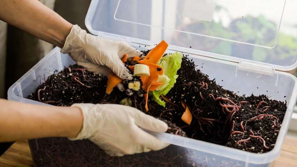 Feeding Worms Kitchen Scraps: Ultimate Guide 2026