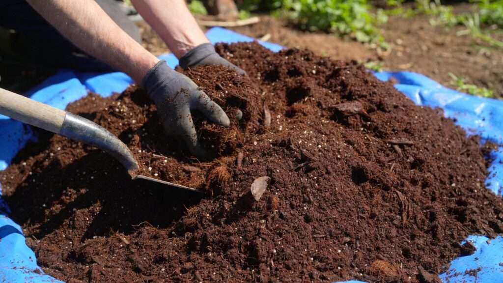 DIY Raised Bed Soil Blend Formula for Thriving Plants