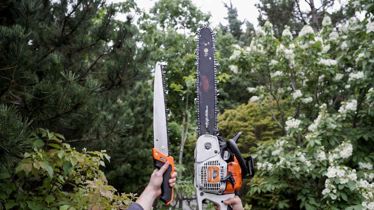 Hand Pruning Saw vs. Chainsaw: Best Tool Guide