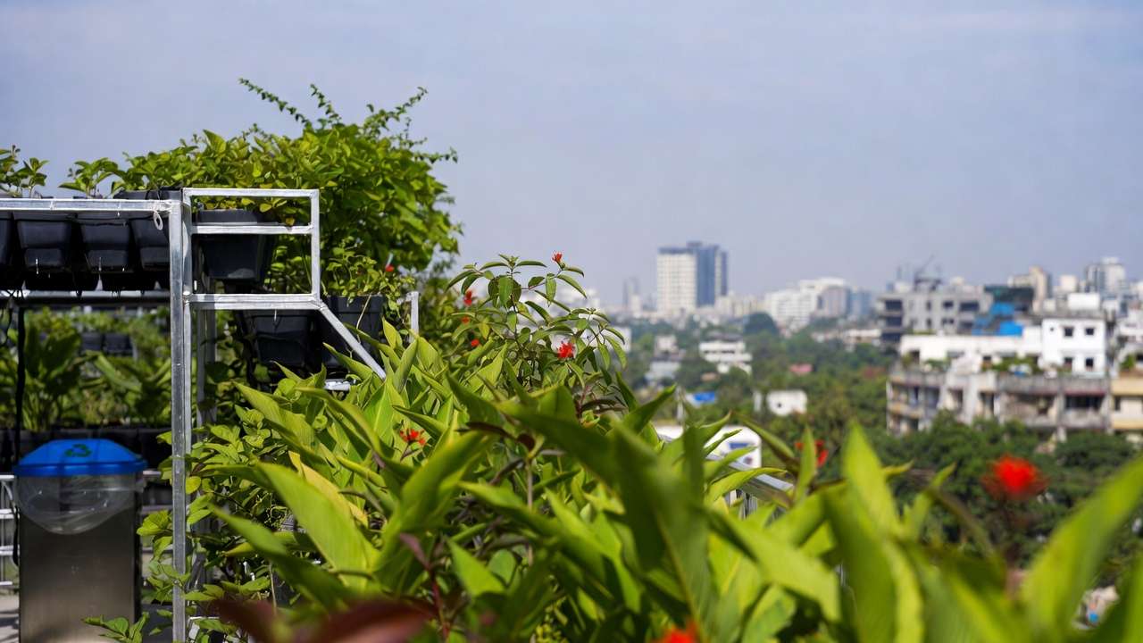 Vertical Gardens in Urban Settings: Benefits & Tips