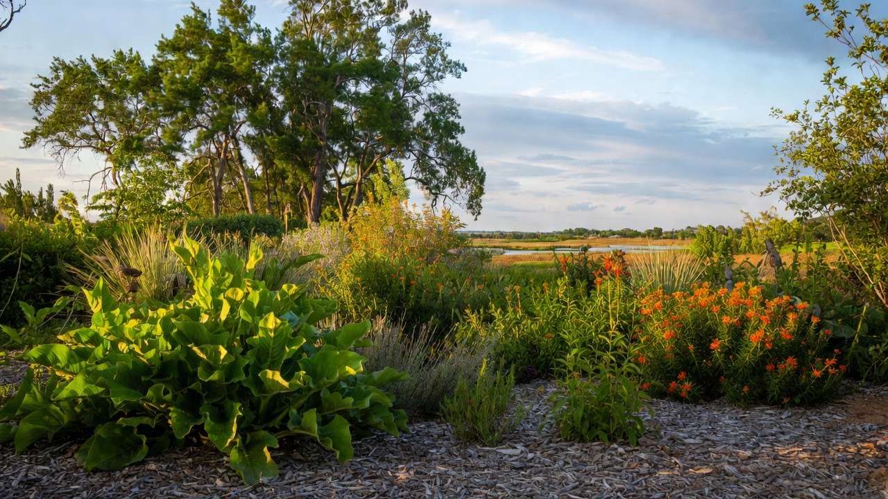 Native Plants for Sustainable Yards: Eco-Friendly Guide