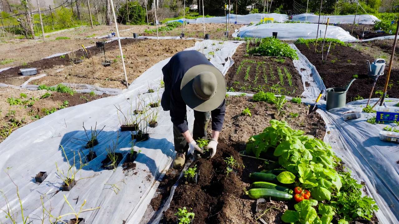 Transitioning from Winter Crops to Spring Crops: Expert Tips