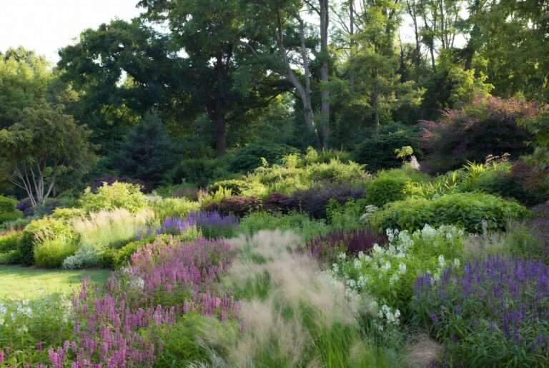PA Native Plants: Best Low-Maintenance Garden Choices
